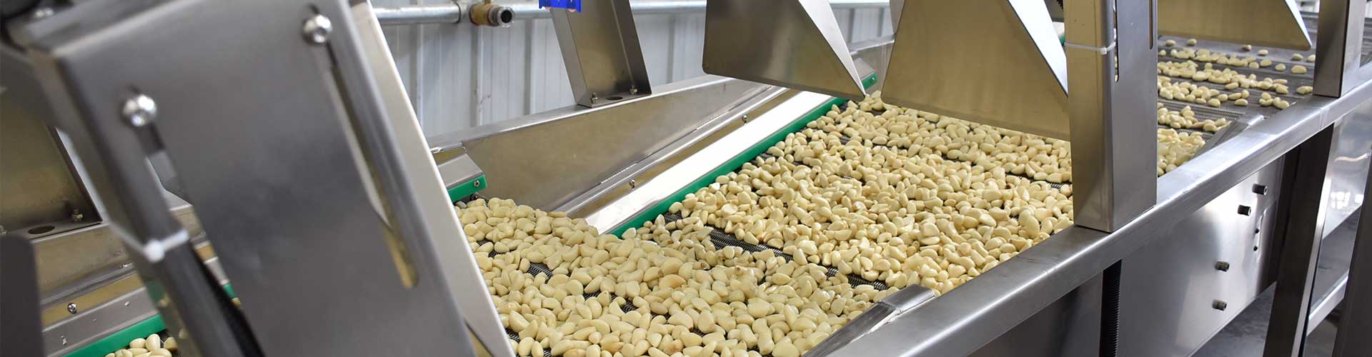 Fruit Vegetable Processing Machines