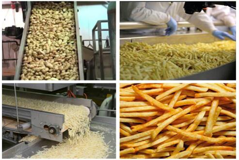 Full Automatic French Fries Plant All in One