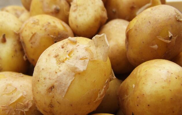 La Bonnotte: The World's Most Expensive Potatoes