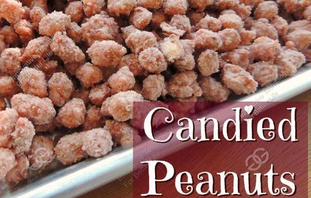 Caramelized Peanut Machine|Candied Peanut Machine